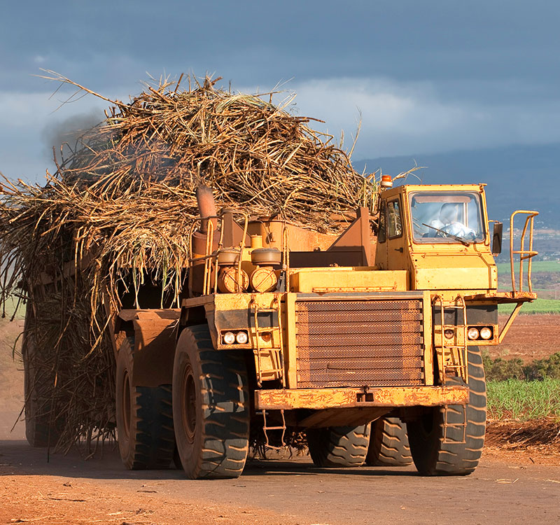 Capiz Sugar Miller Case Study | Seal Saver